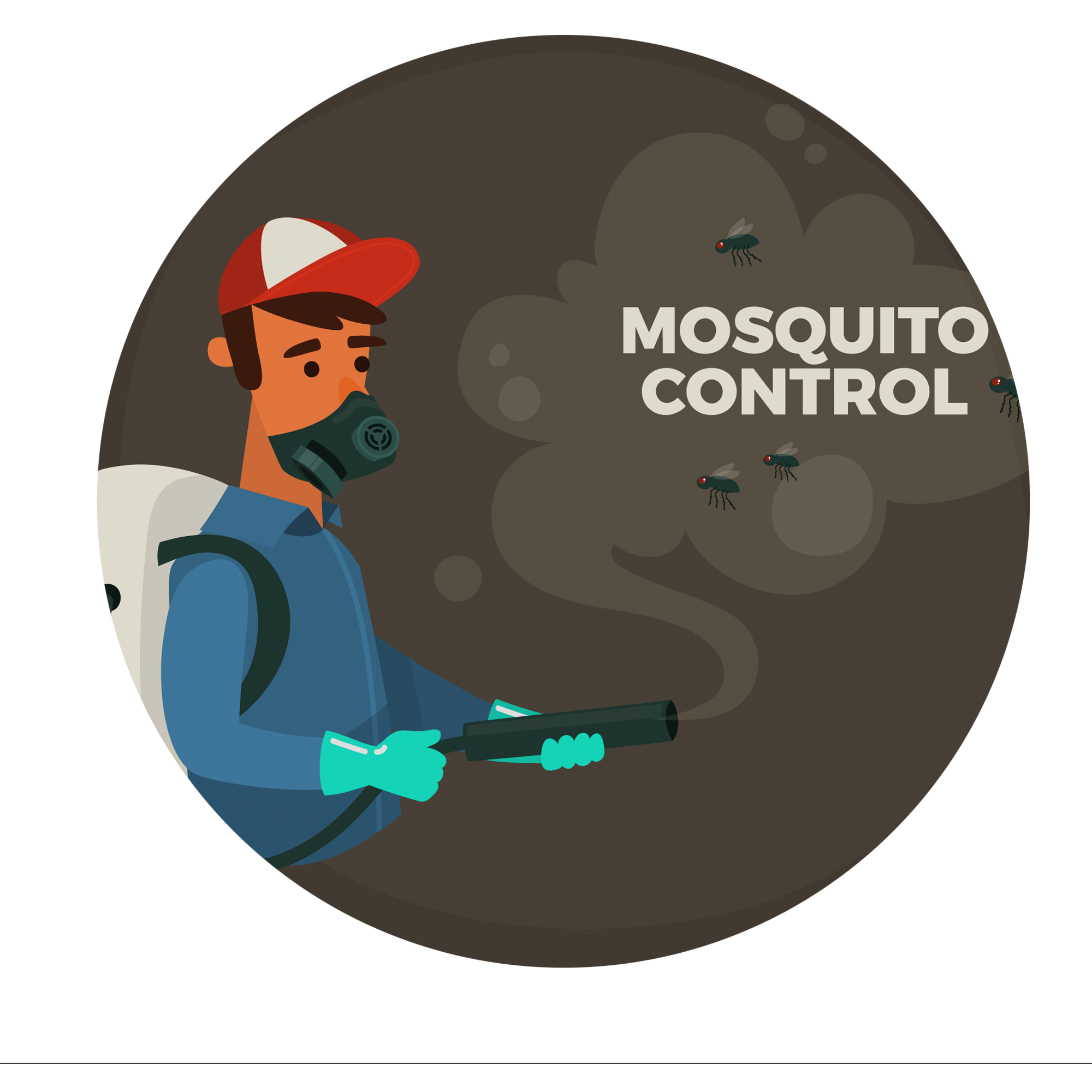 Things we need to know this National Dengue Awareness Month - Medicare ...