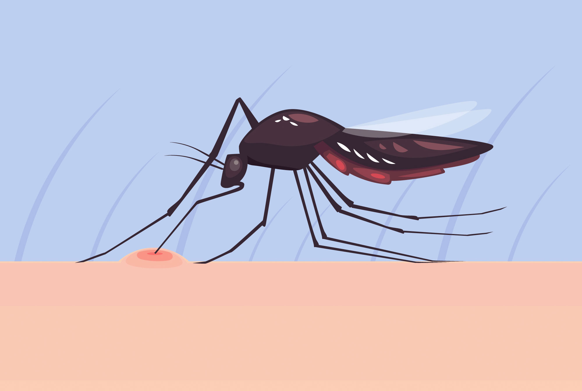 Things we need to know this National Dengue Awareness Month - Medicare ...