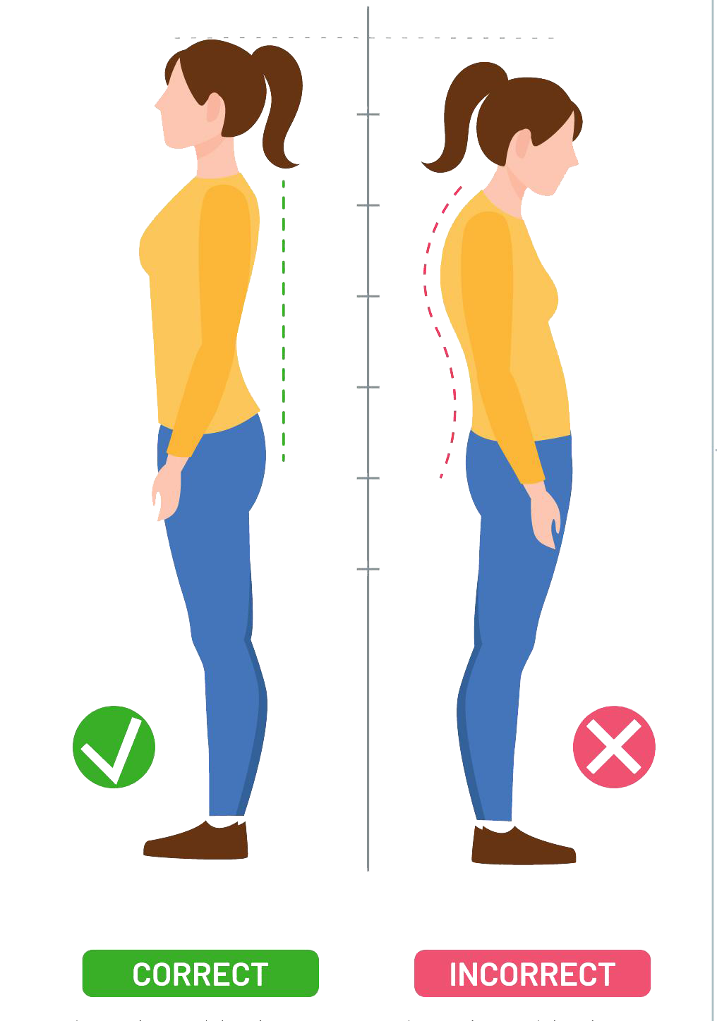 The Cracking Truth about Chiropractic Care - Medicare Plus Inc.
